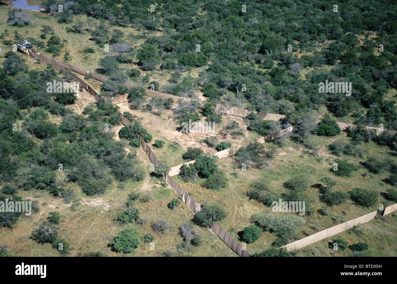 Aerial view of an antelope capture site used here to catch impala in ...