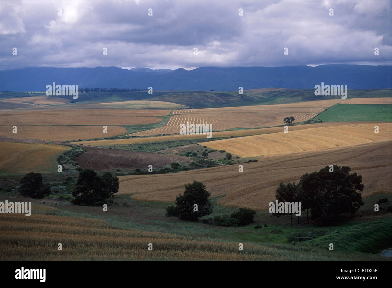 Farming fields overberg landscape scenic hi-res stock photography and ...
