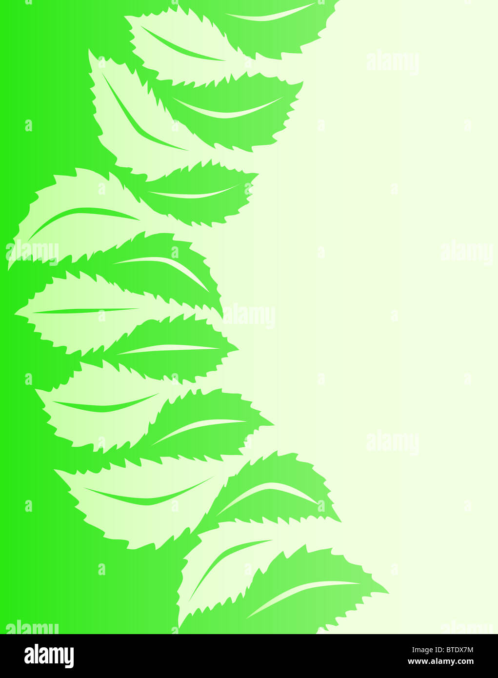 Illustrated design of generic leaf shapes Stock Photo - Alamy