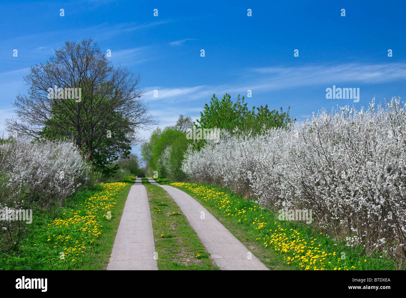 Hedge bocage hi-res stock photography and images - Alamy