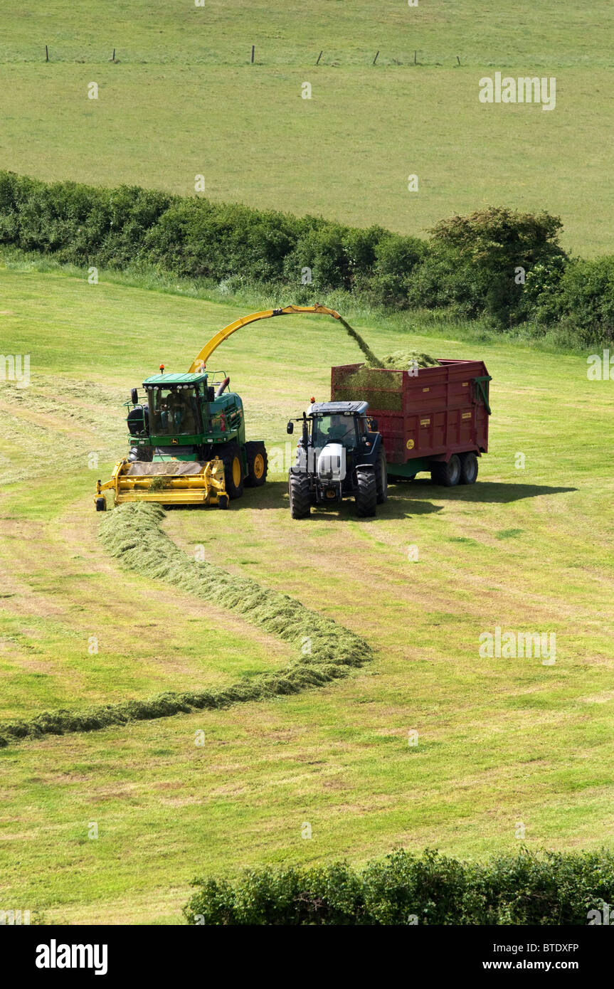 Grass silage combine harvester hi-res stock photography and images - Alamy