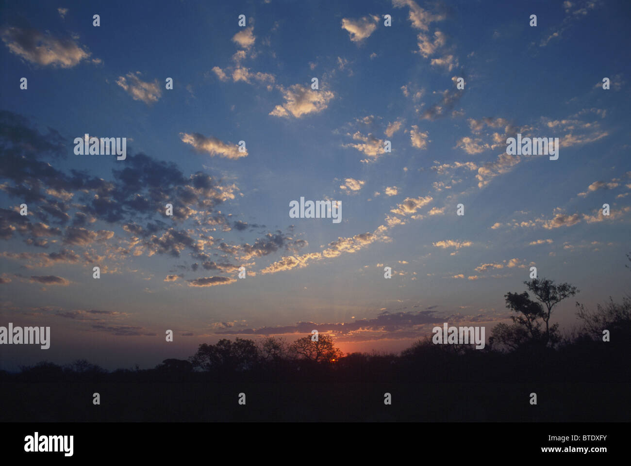 Sunset over the African bushveld Stock Photo - Alamy