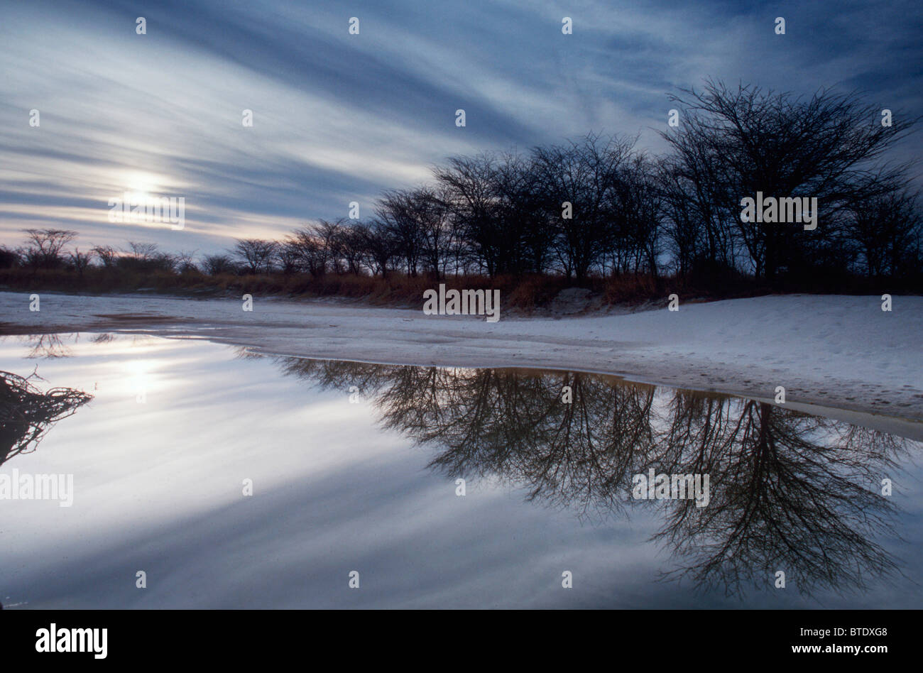 Nata River winter scene with bare acacia trees on the sandy river bank ...