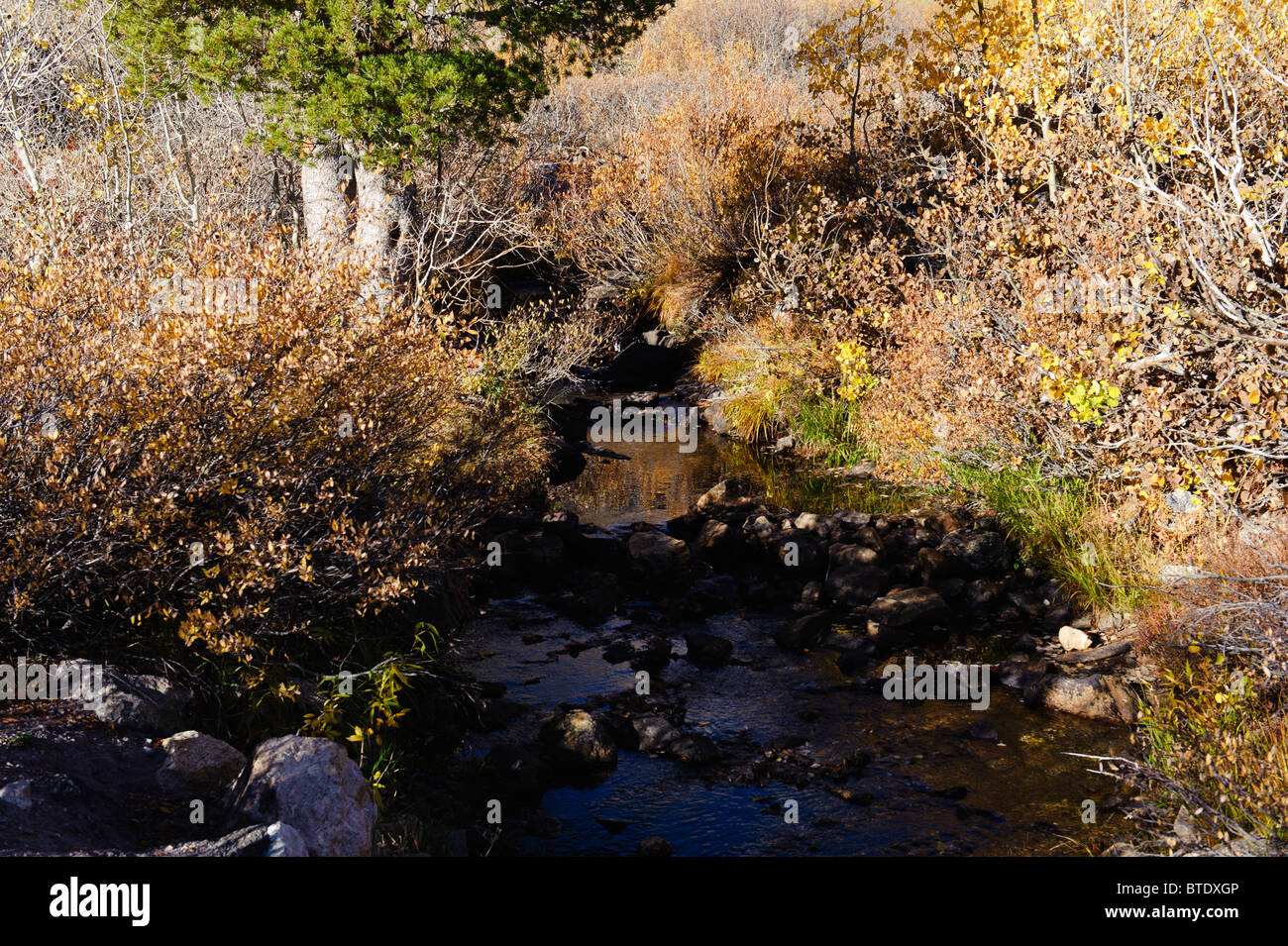Angel Lake near Wells Nevada in the fall with brilliant gold Aspen ...