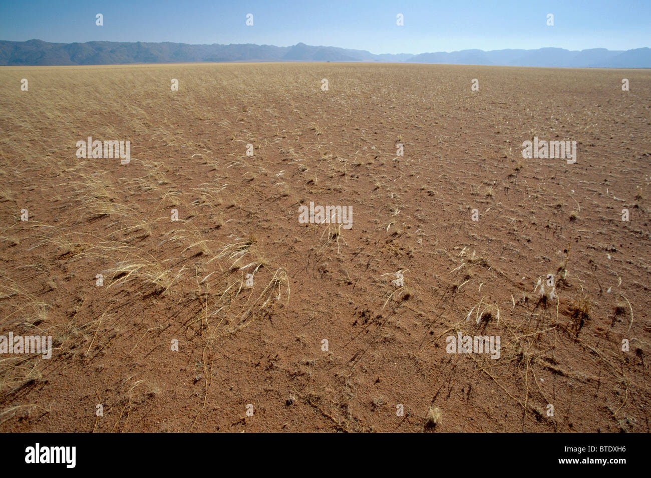 Desolate grass plains landscape Stock Photo - Alamy