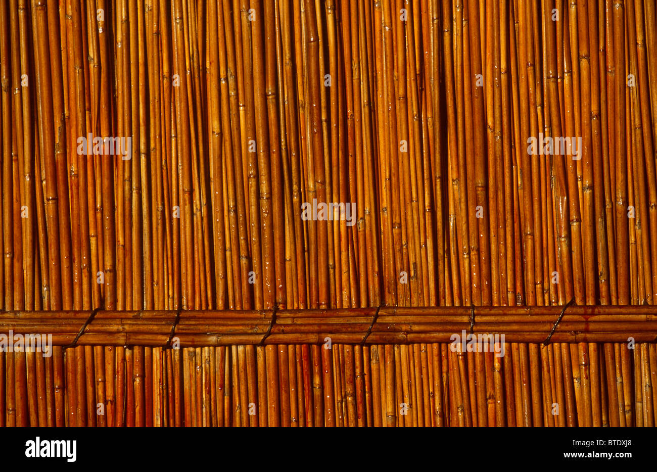 Reed screen hi-res stock photography and images - Alamy