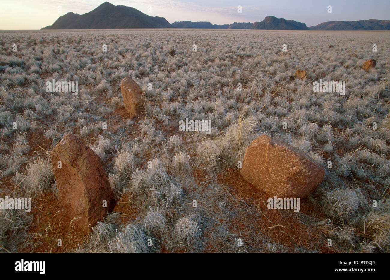 Barren desert landscape with short tufted grass stretching to mountains ...
