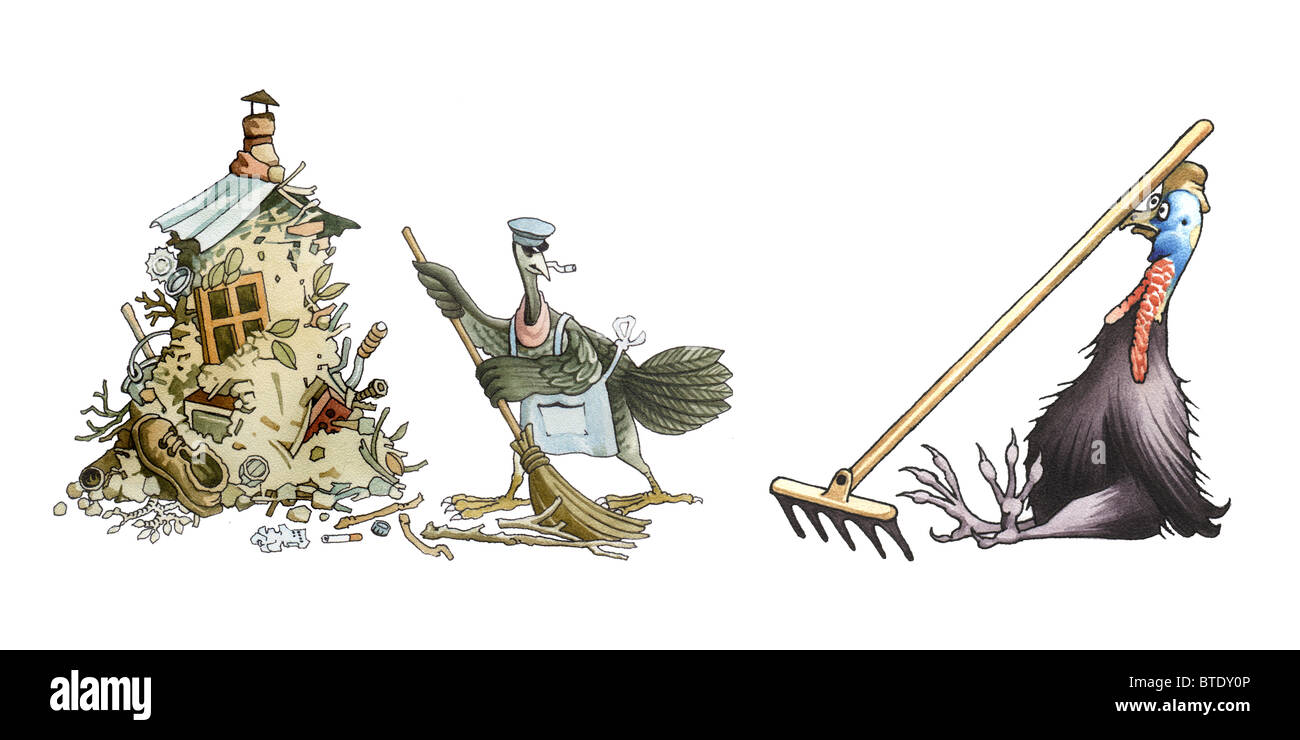 Megapodes and Cassowary Stock Photo - Alamy