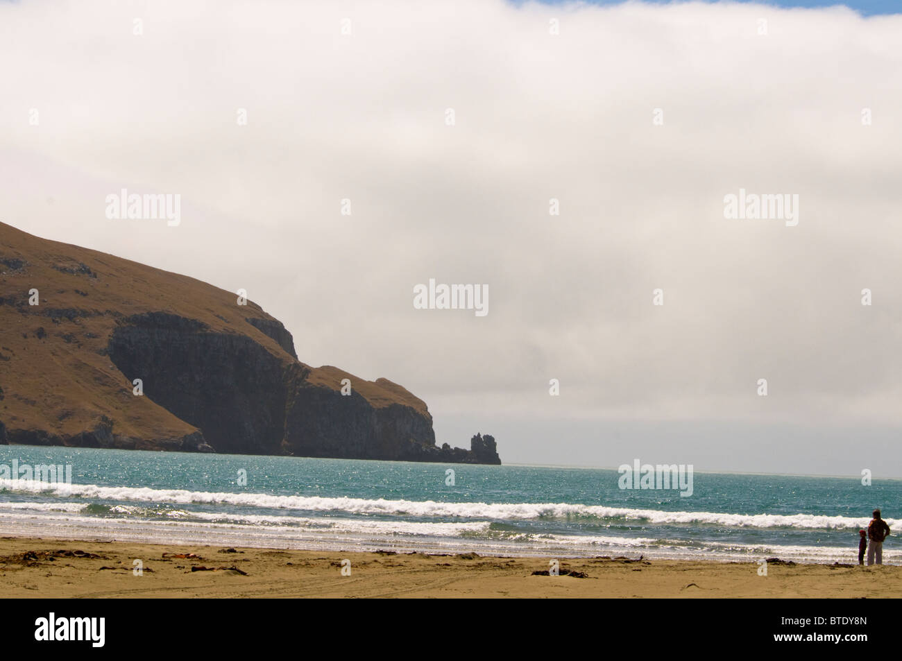Waipatiki reserve hi-res stock photography and images - Alamy