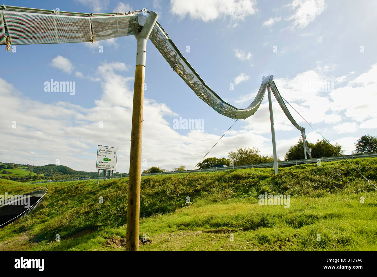 Dormouse Bridge enabling the endangered animals to cross a newly built ...