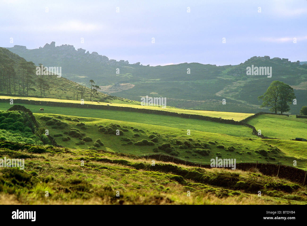 Ramshaw Rocks, Peak District National Park. UK Stock Photo - Alamy