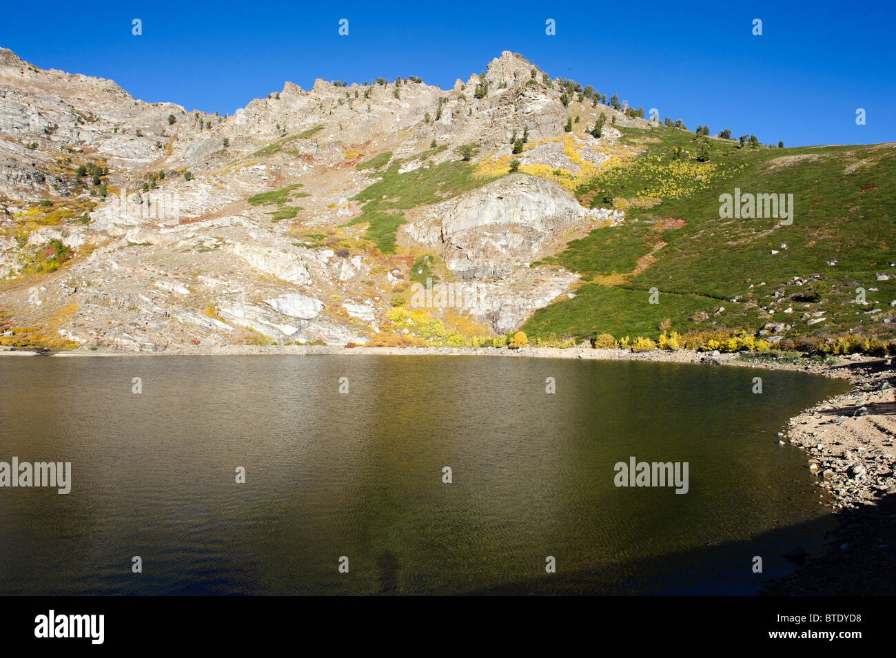 Angel Lake near Wells Nevada in the fall with brilliant gold Aspen ...