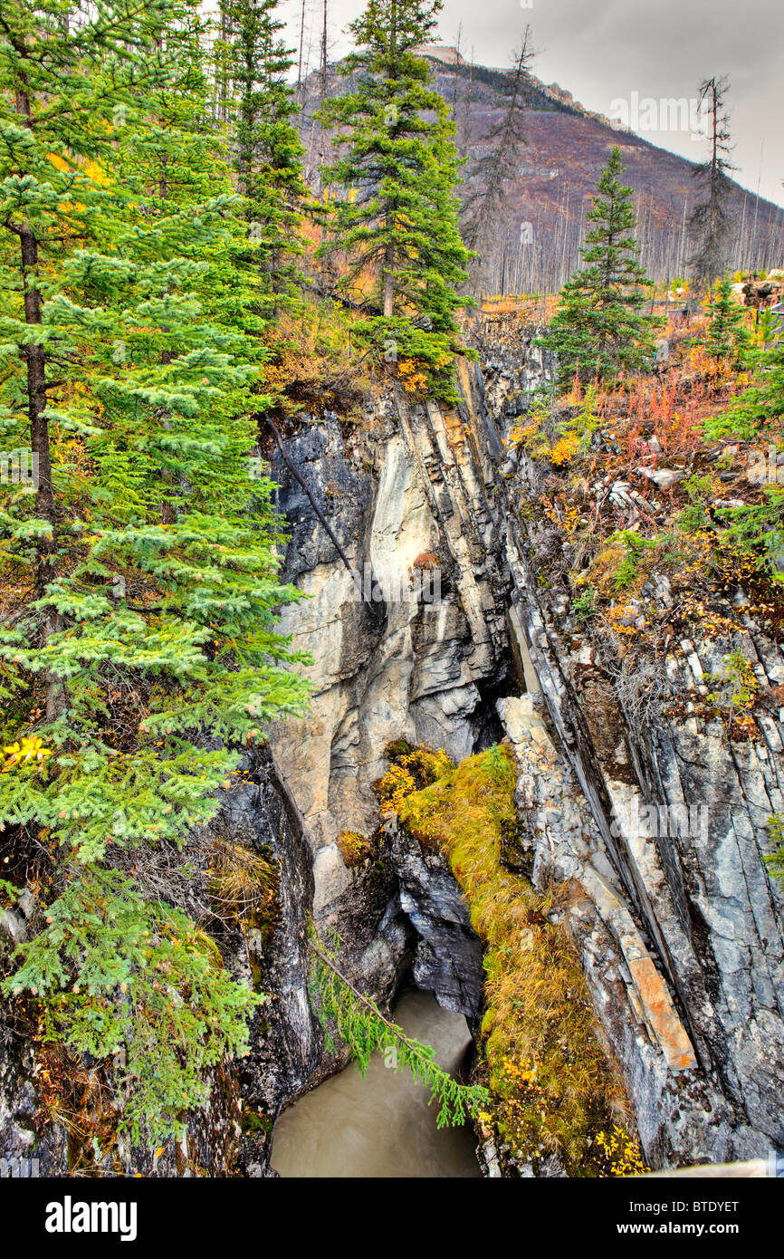 Marble Canyon, Kootenay National Park, Alberta, Canada Stock Photo - Alamy
