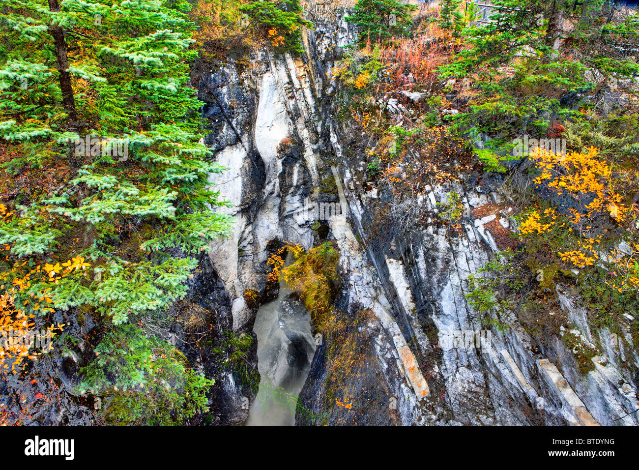 Marble Canyon, Kootenay National Park, Alberta, Canada Stock Photo - Alamy