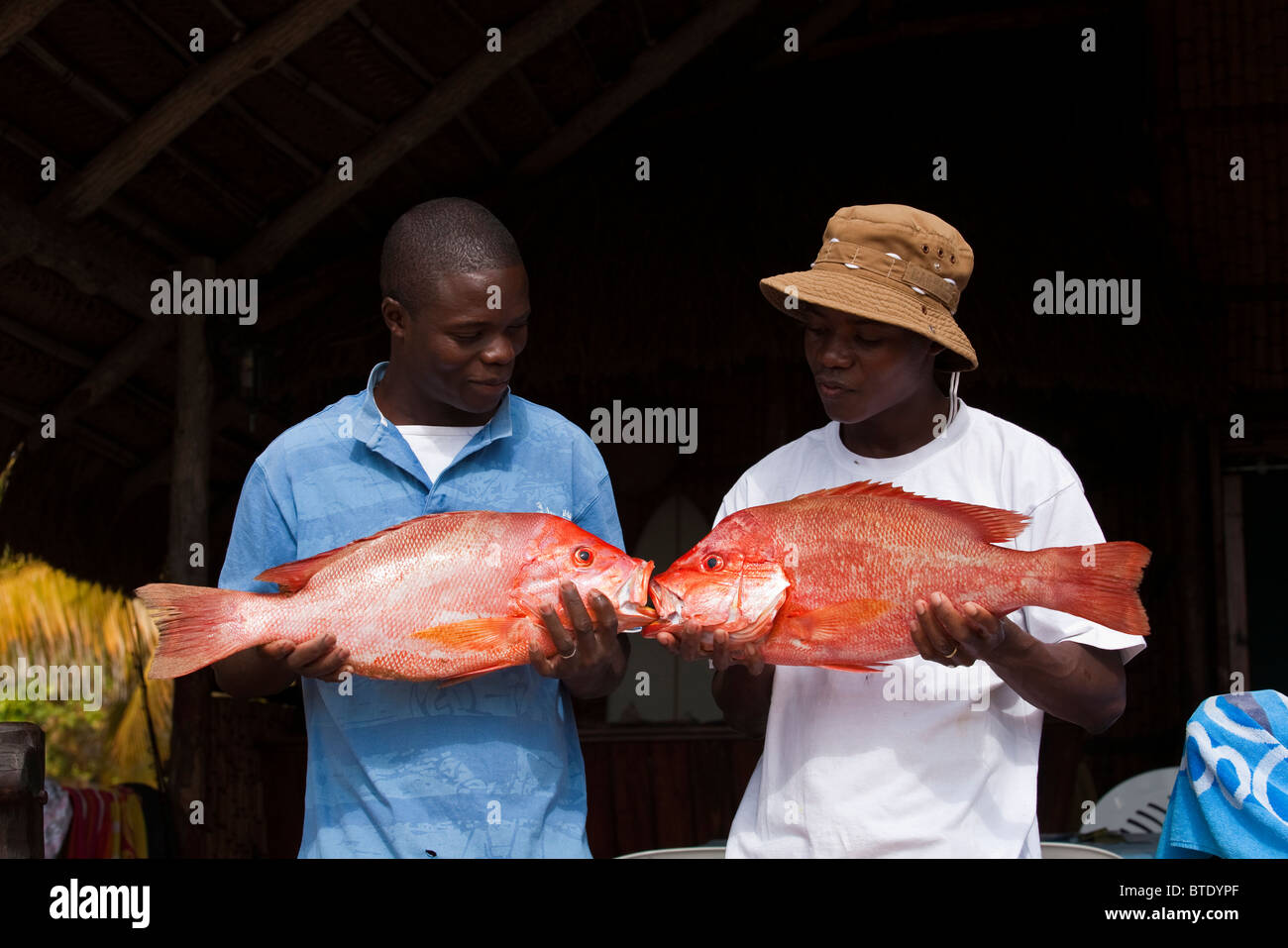 Two red fish hi-res stock photography and images - Alamy