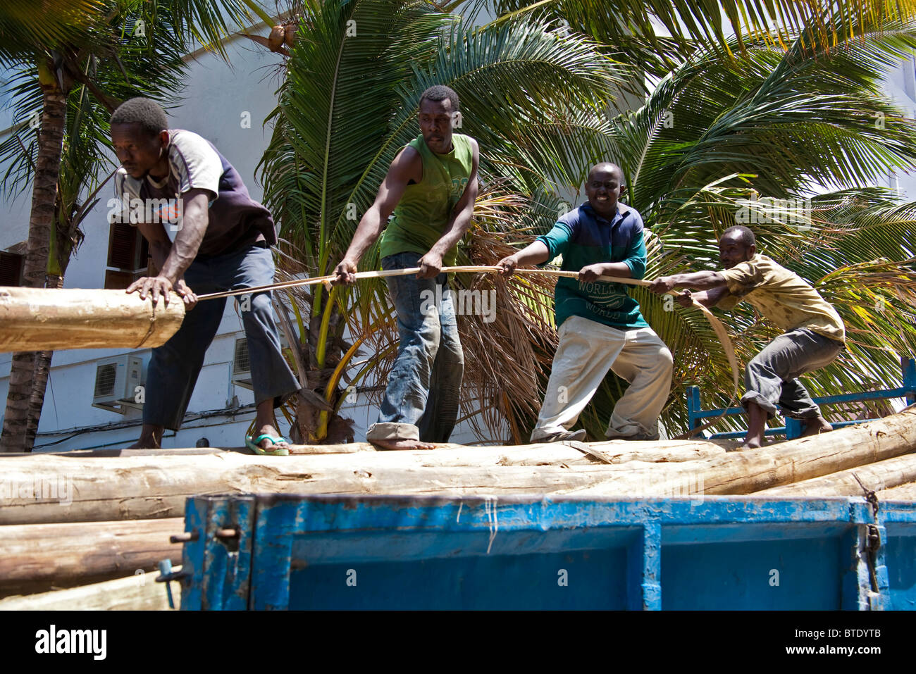 Local men pulling logs onto the back of a truck Stock Photo - Alamy