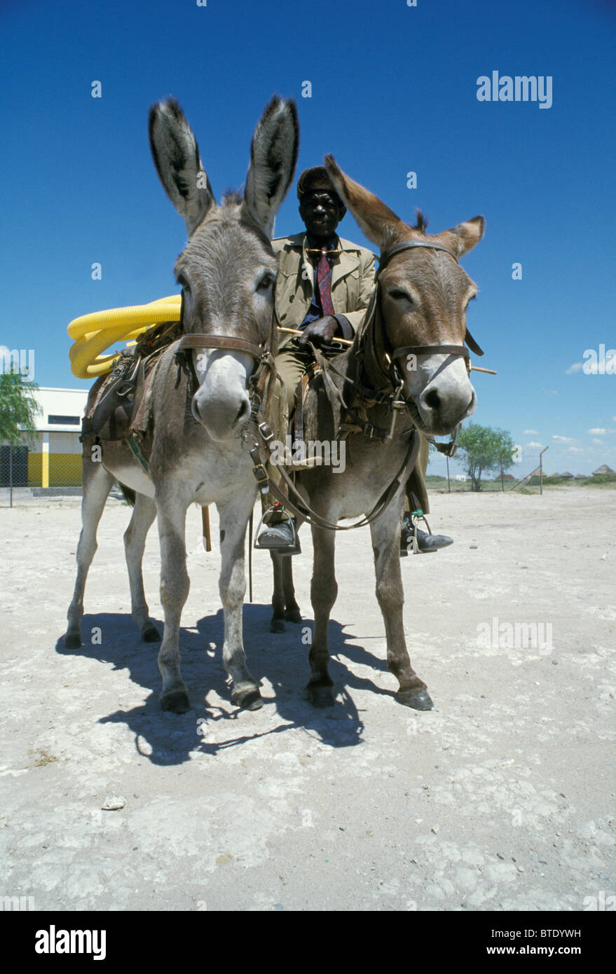 Man riding a donkey hi-res stock photography and images - Alamy