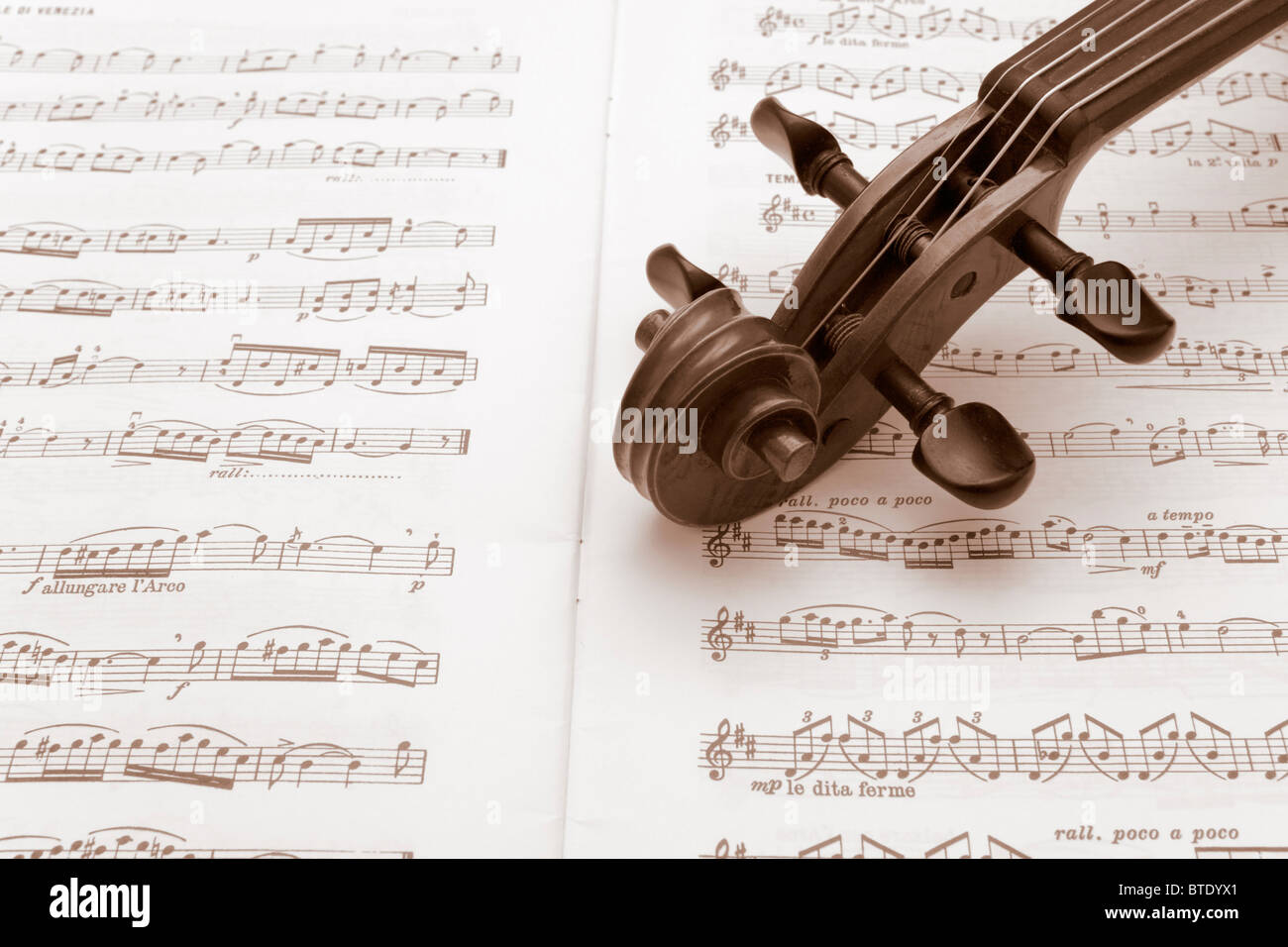 Neck Violin High Resolution Stock Photography and Images - Alamy
