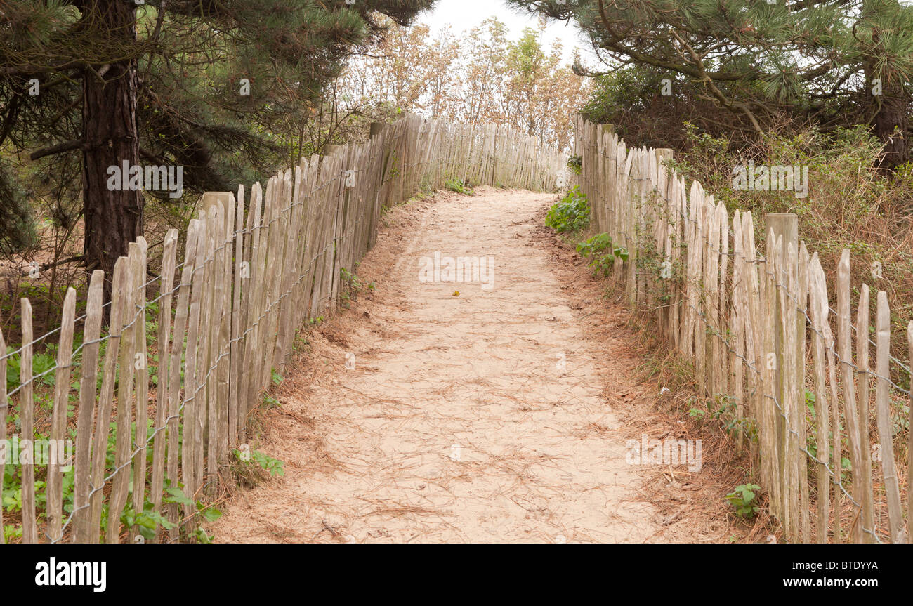 A sandy pathway over the dune leading to the beach. Image taken in ...
