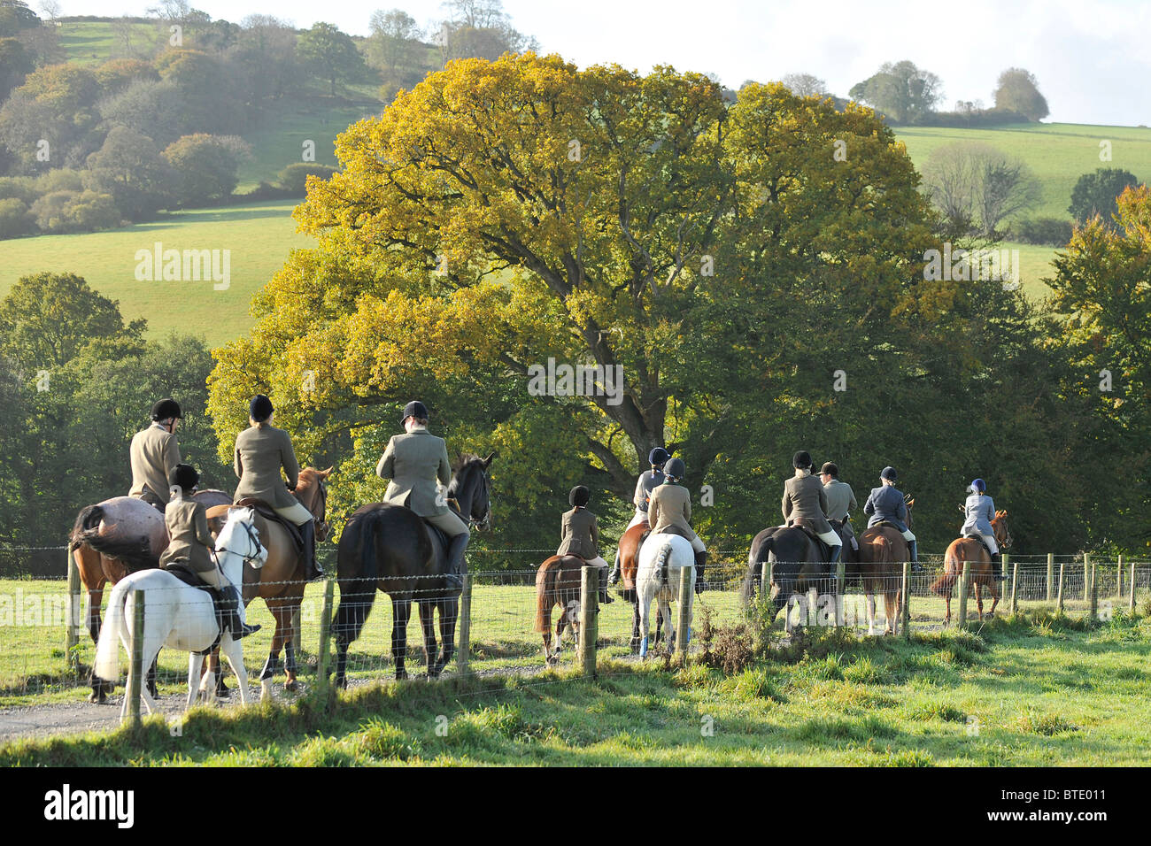 autumn trailhunting in cornwall Stock Photo - Alamy