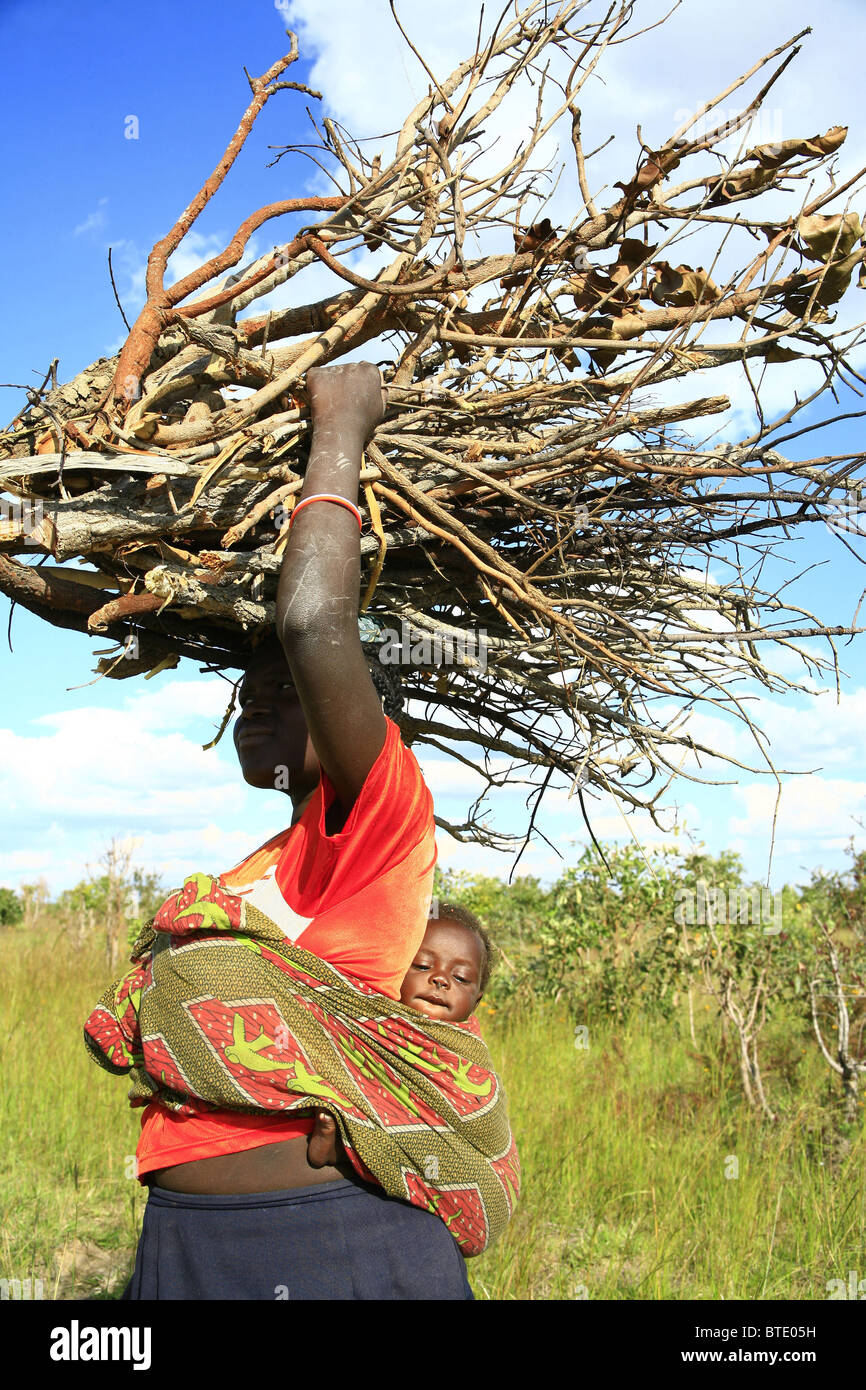 African Carrying Firewood Woman Carrying Firewood, Ouadane,