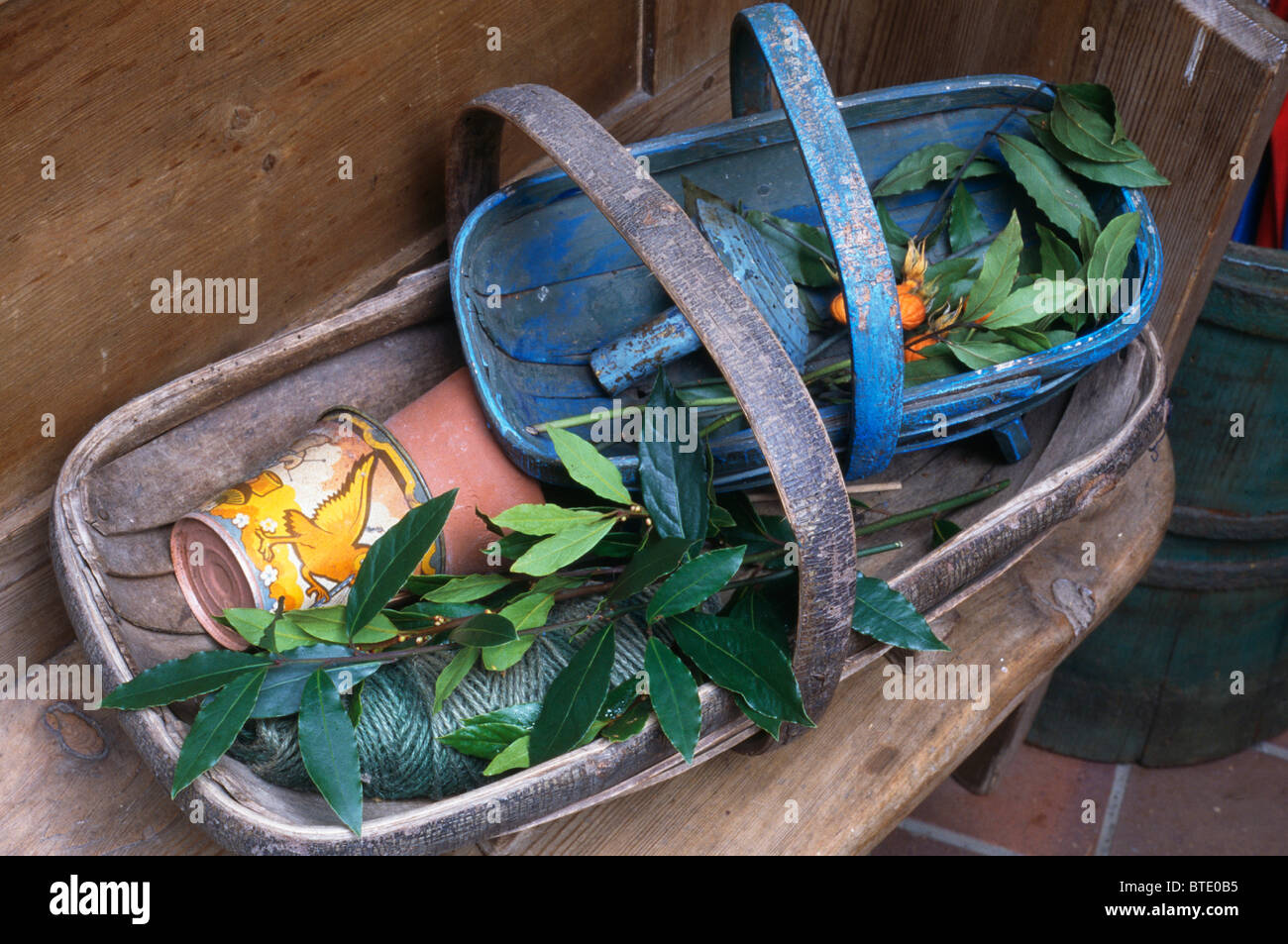 Close-up of small blue painted trug with old wooden trug with green ...