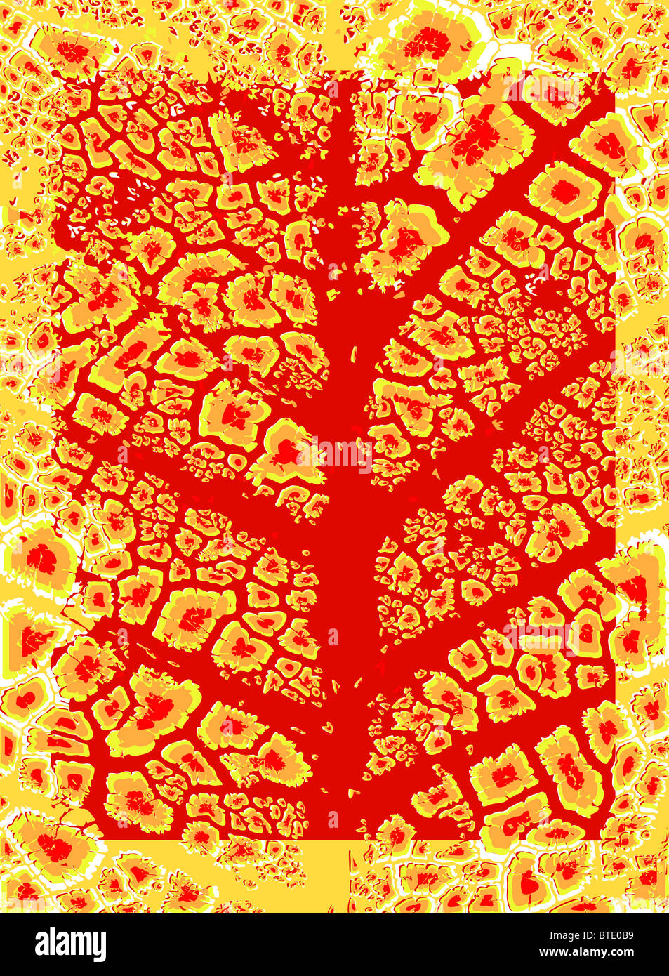 Abstract illustration of an autumn leaf Stock Photo - Alamy