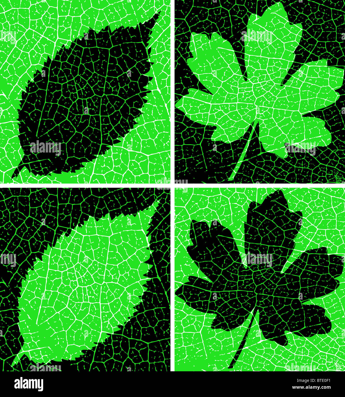 Illustration of green leaves with veins Stock Photo - Alamy