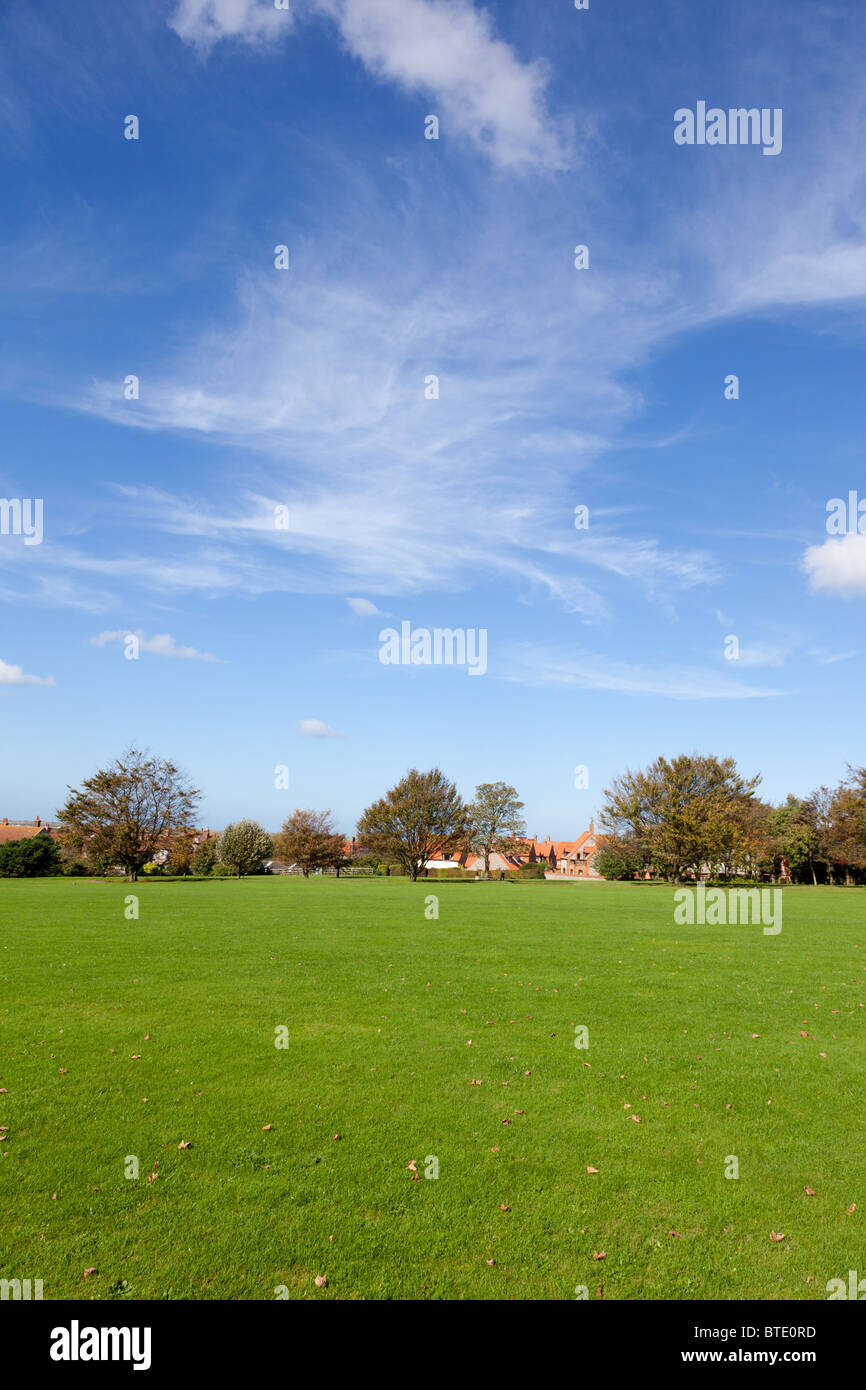 Green Grass Blue Sky Vertical