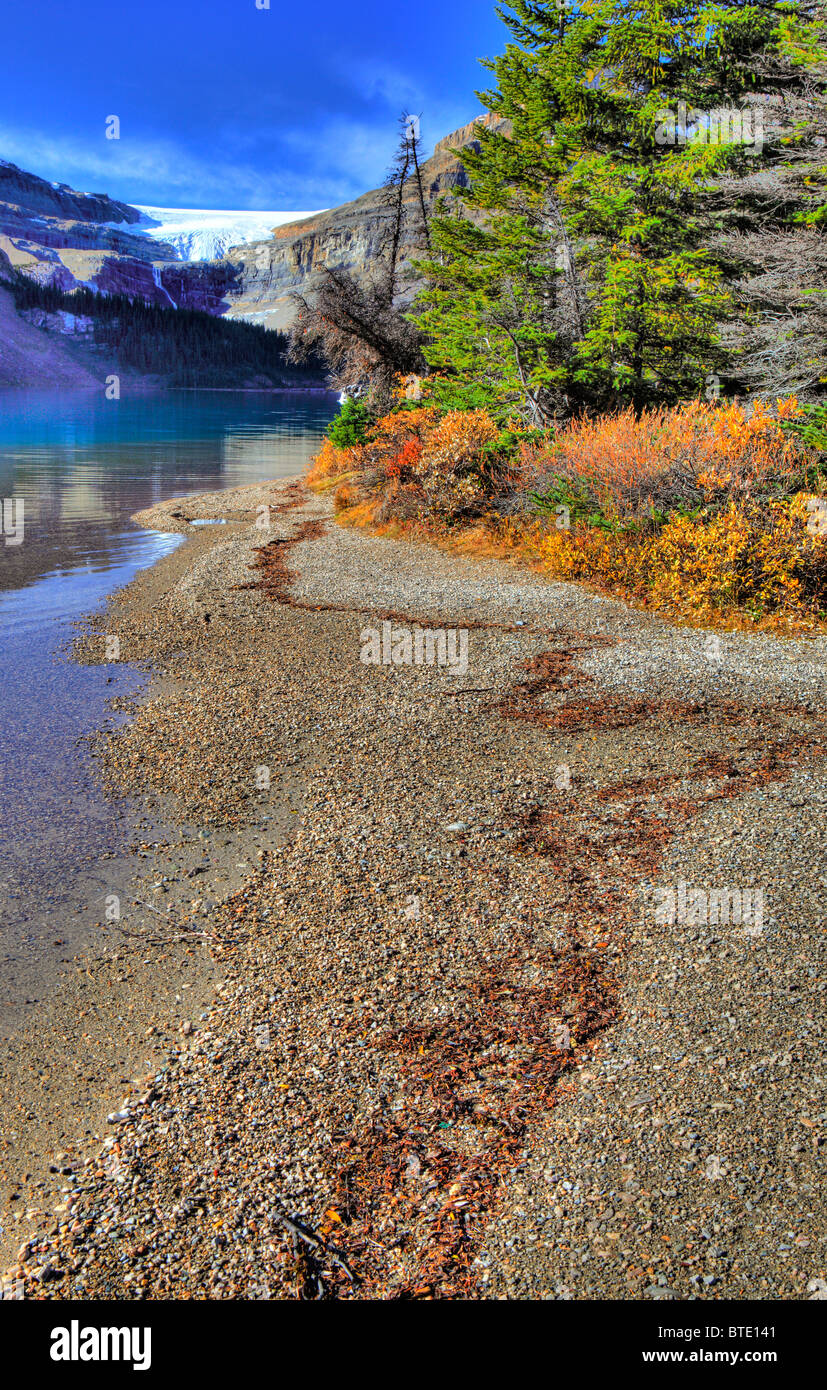 Bow Glacier Falls High Resolution Stock Photography and Images - Alamy