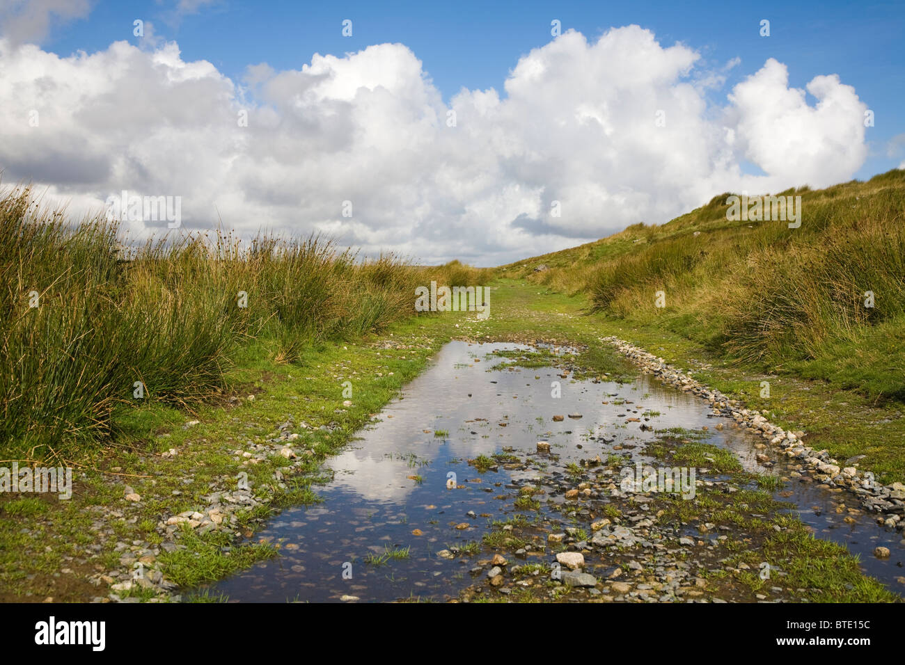 Redlake tramway, Dartmoor Stock Photo - Alamy
