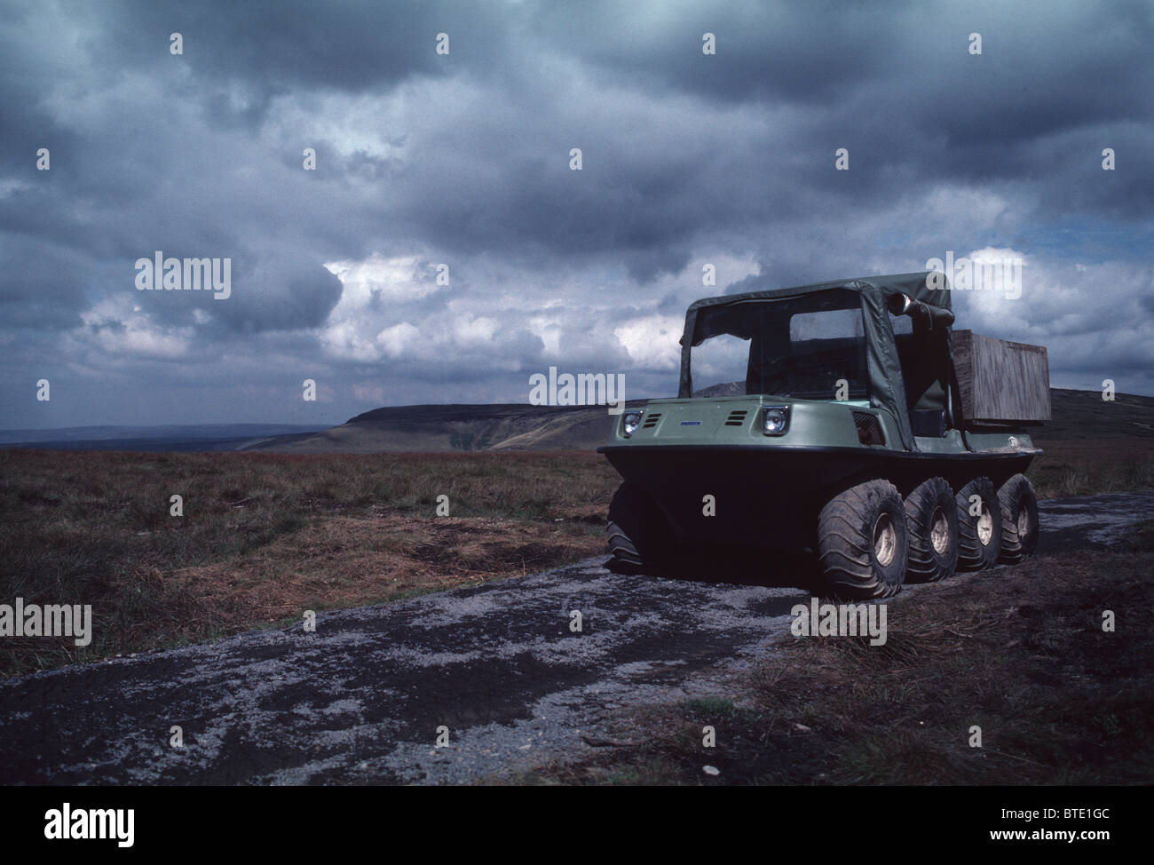 Argocat hi-res stock photography and images - Alamy