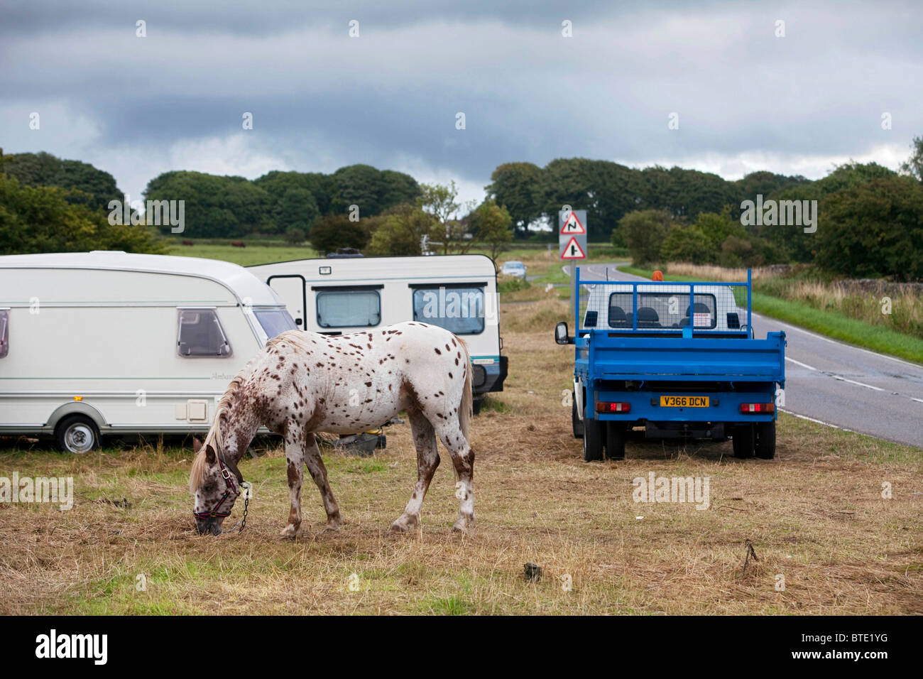Priddy Sheep Fair is a highlight in the calendar for the gypsy ...