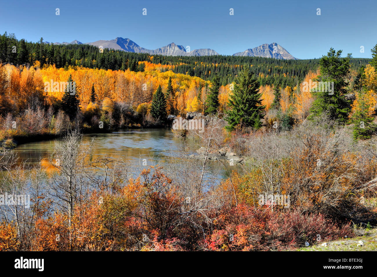 Miette River, Jasper National Park, Alberta, Canada Stock Photo - Alamy