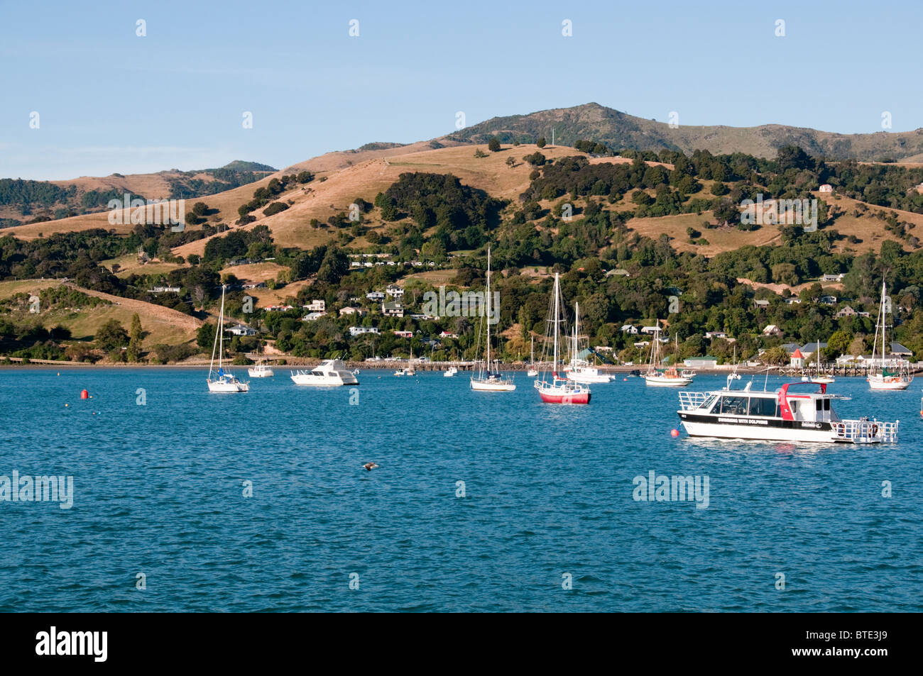 Akaroa Market Garden,Architecture,Typical Old Homes,Harbor,Boats ...