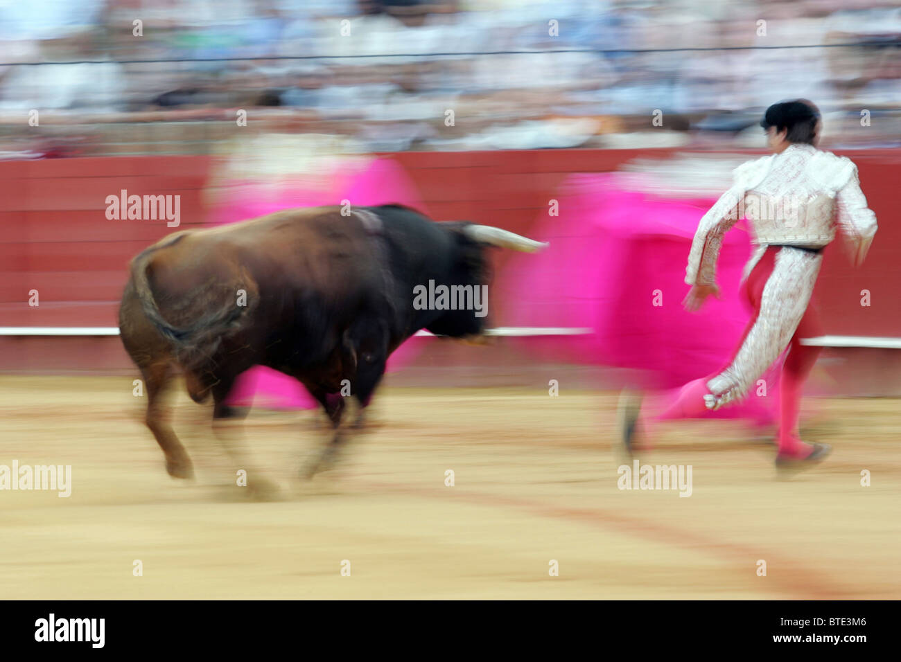 Bullfighting matador muleta fighting bull hi-res stock photography and ...