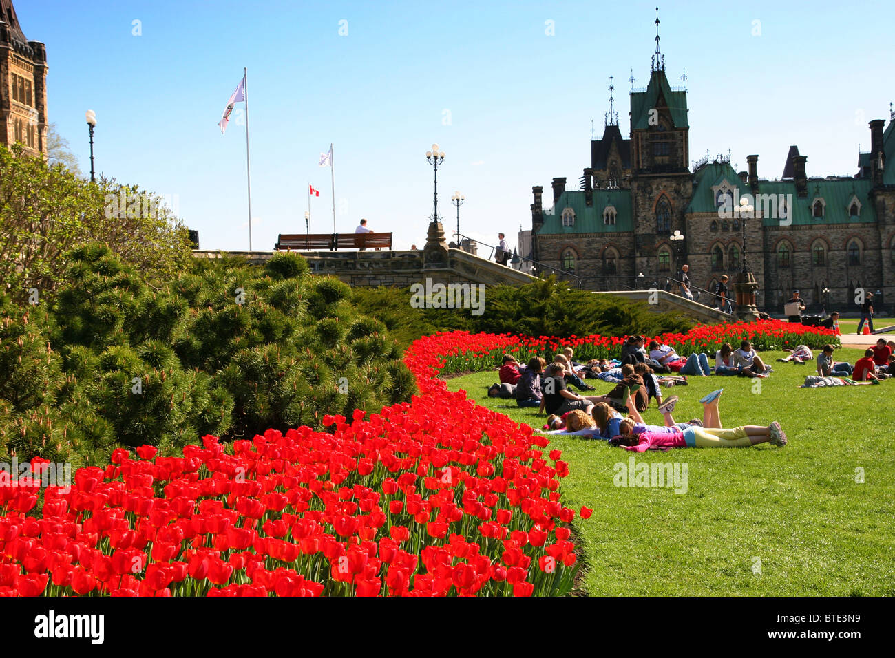 Tulips outside Parliament building in Ottawa, Canada Stock Photo - Alamy