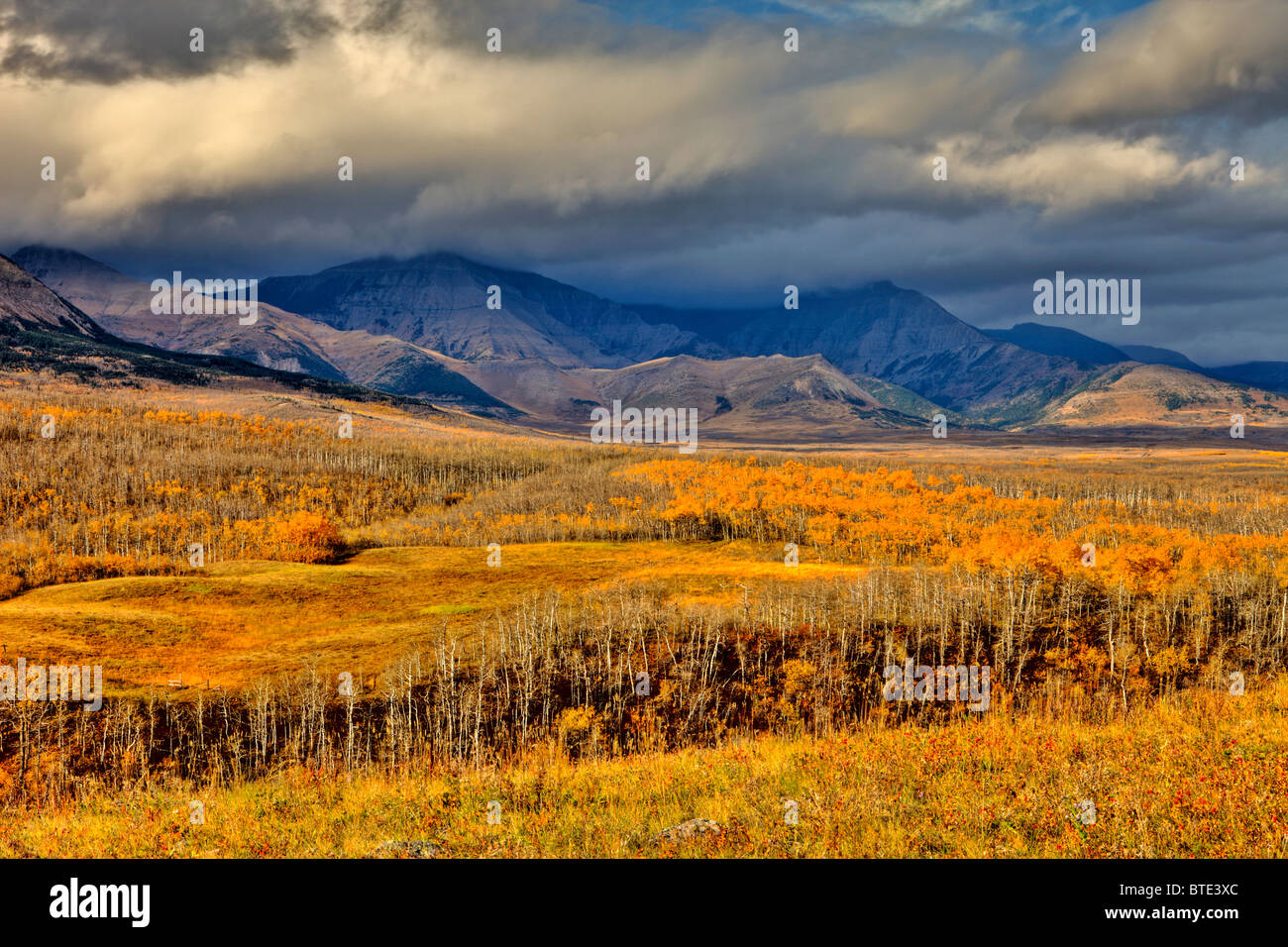 Prairies meet the Rocky Mountains, near Waterton Lakes National Park ...