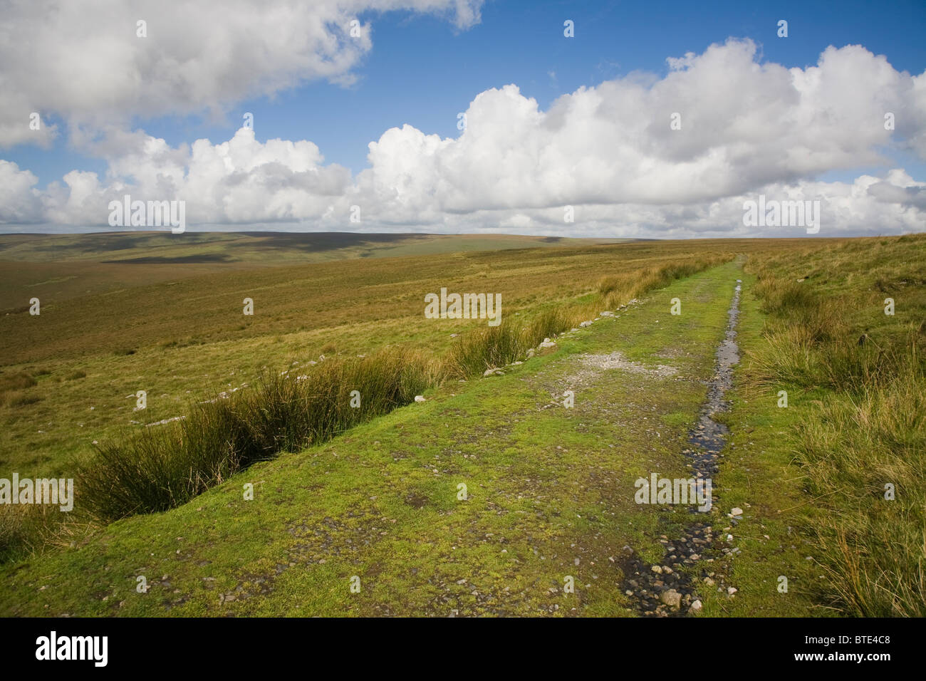 Redlake hi-res stock photography and images - Alamy