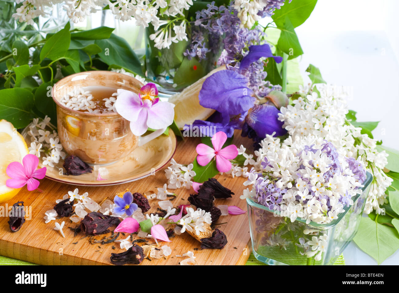 cup of tea and spring branch, flower Stock Photo - Alamy
