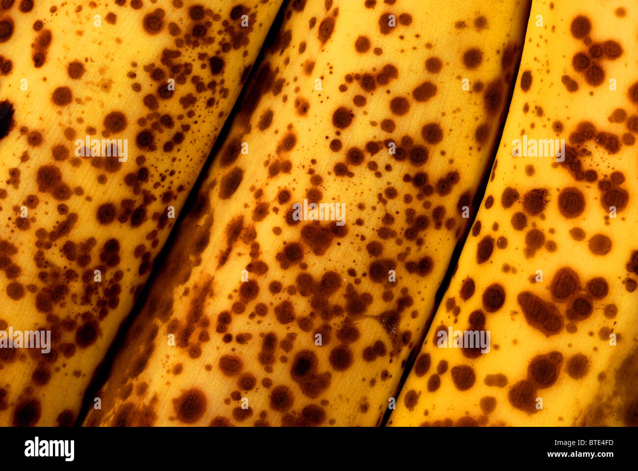 Bananas, very ripe Stock Photo - Alamy