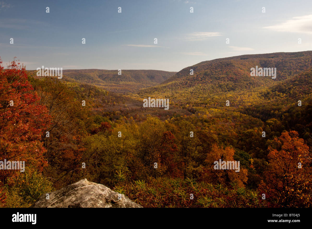 Horizontal view of valley in fall with bright red trees Stock Photo - Alamy