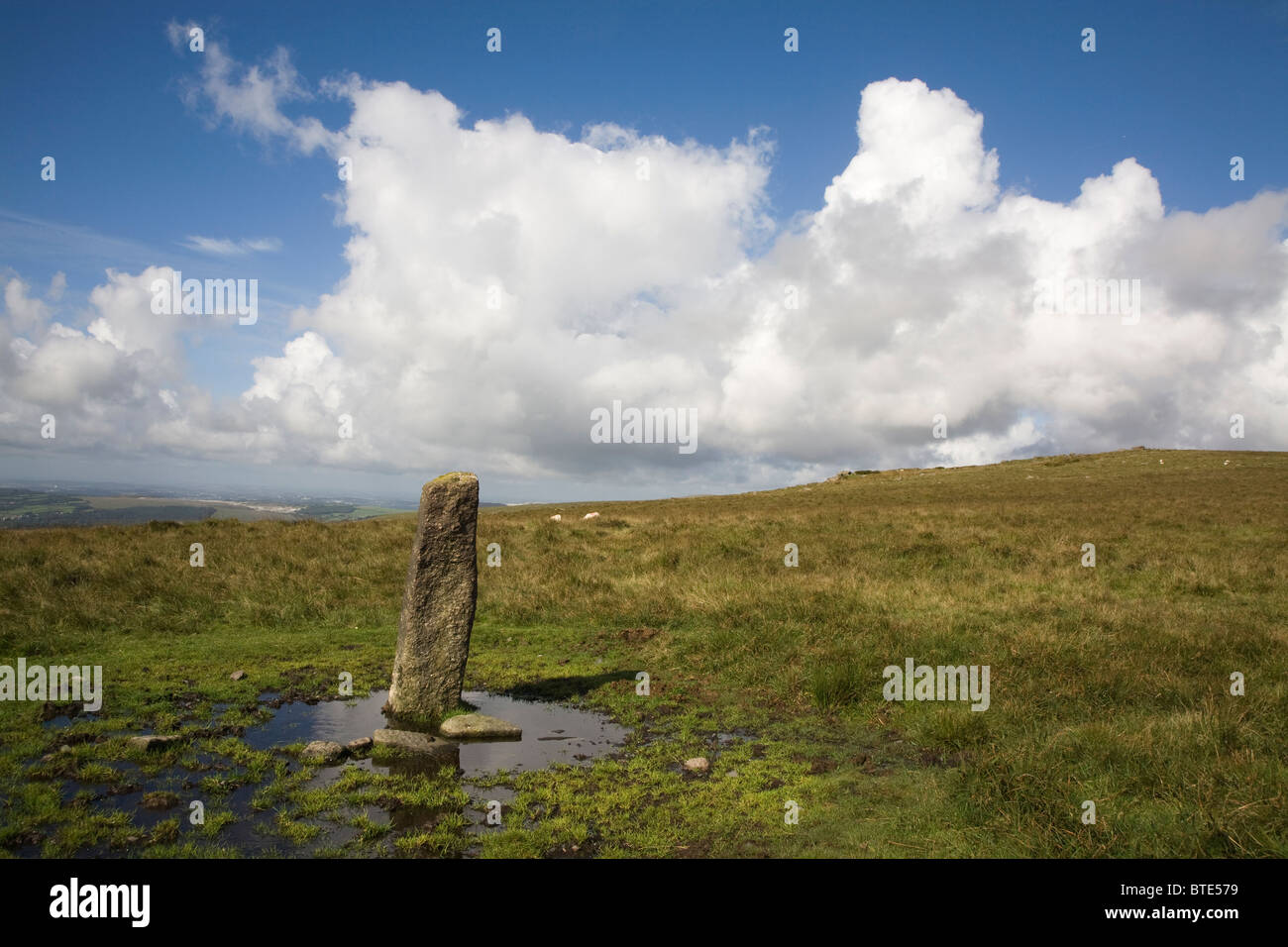 Stone in Dartmoor, Devon Stock Photo - Alamy