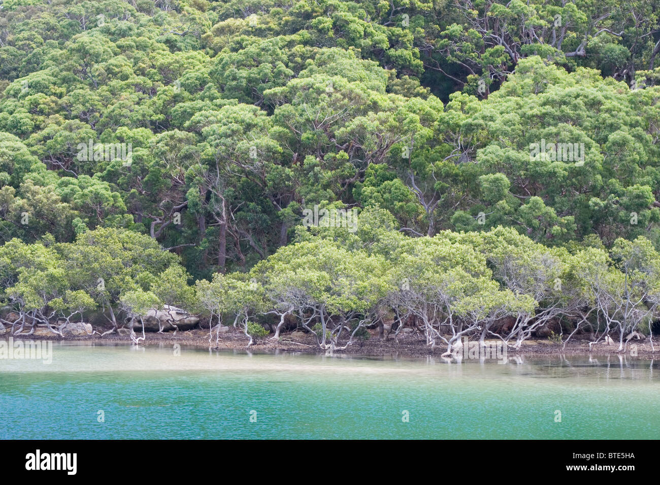 Coastal estuary on the Port Hacking River, Royal National Park, Sydney ...