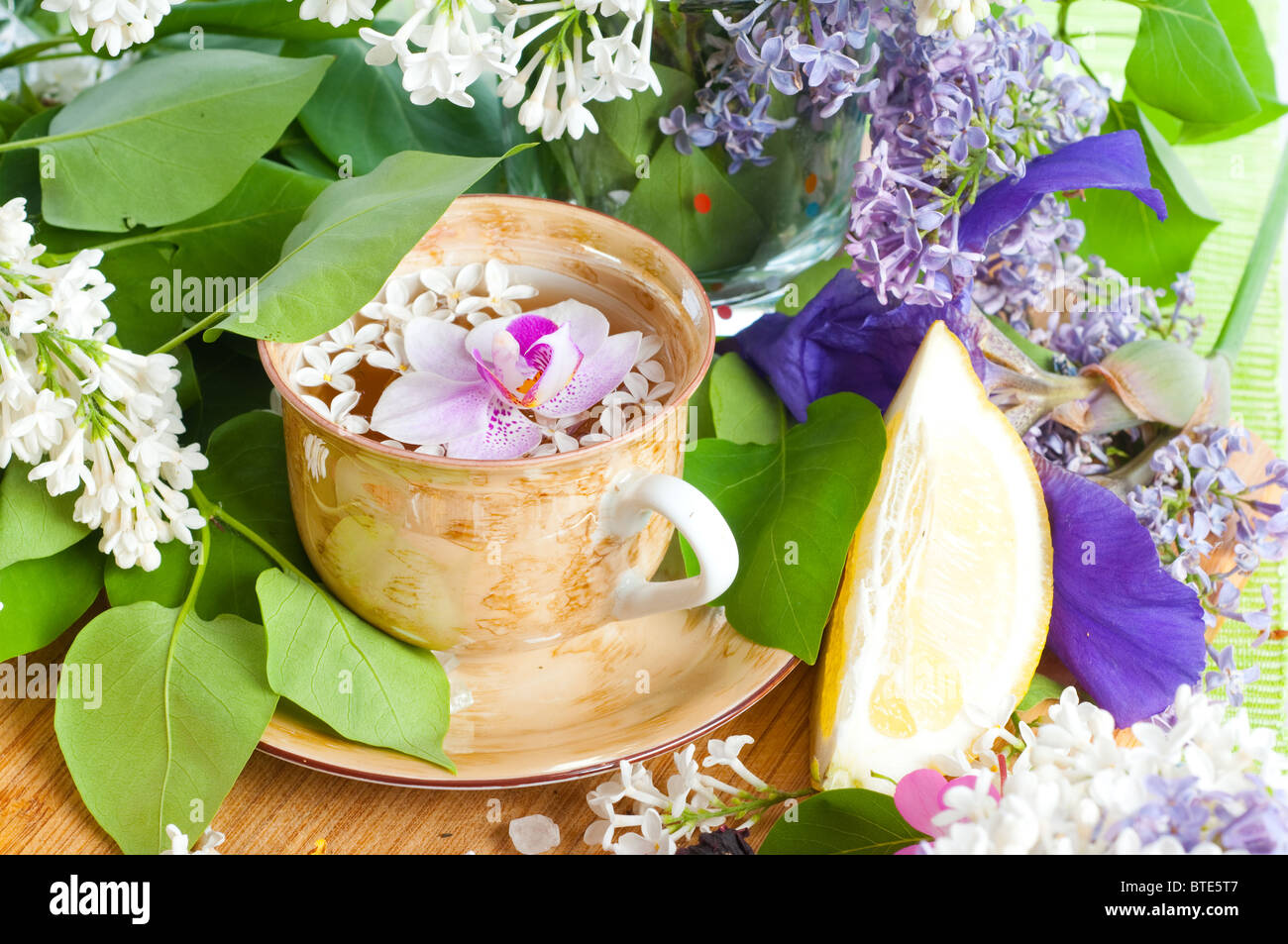cup of tea and spring branch, flower Stock Photo - Alamy