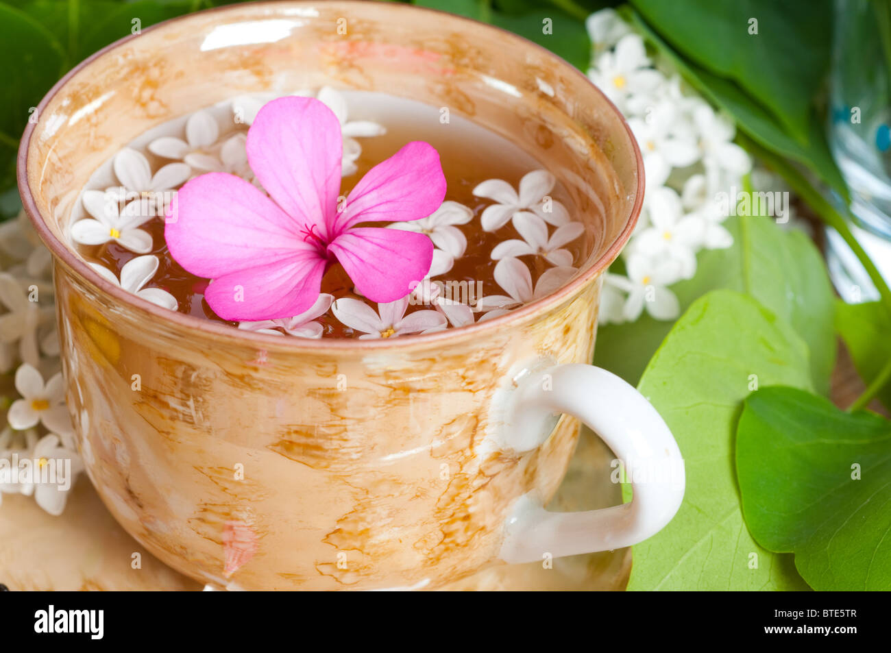 cup of tea and spring branch, flower Stock Photo - Alamy