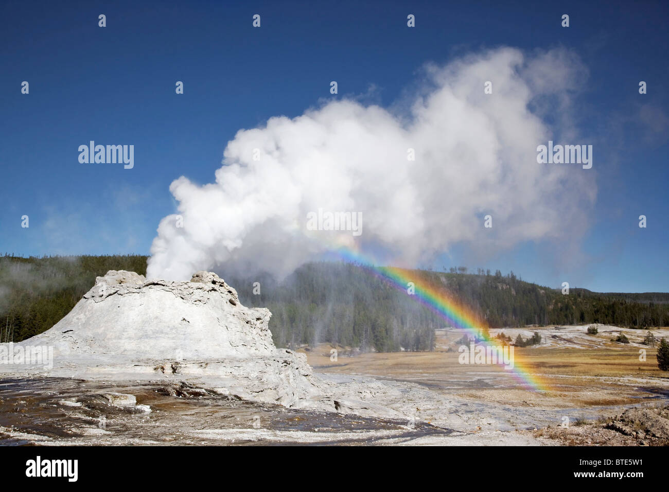 Yellowstone's Castle Geyser erupting with spray rainbow Stock Photo - Alamy