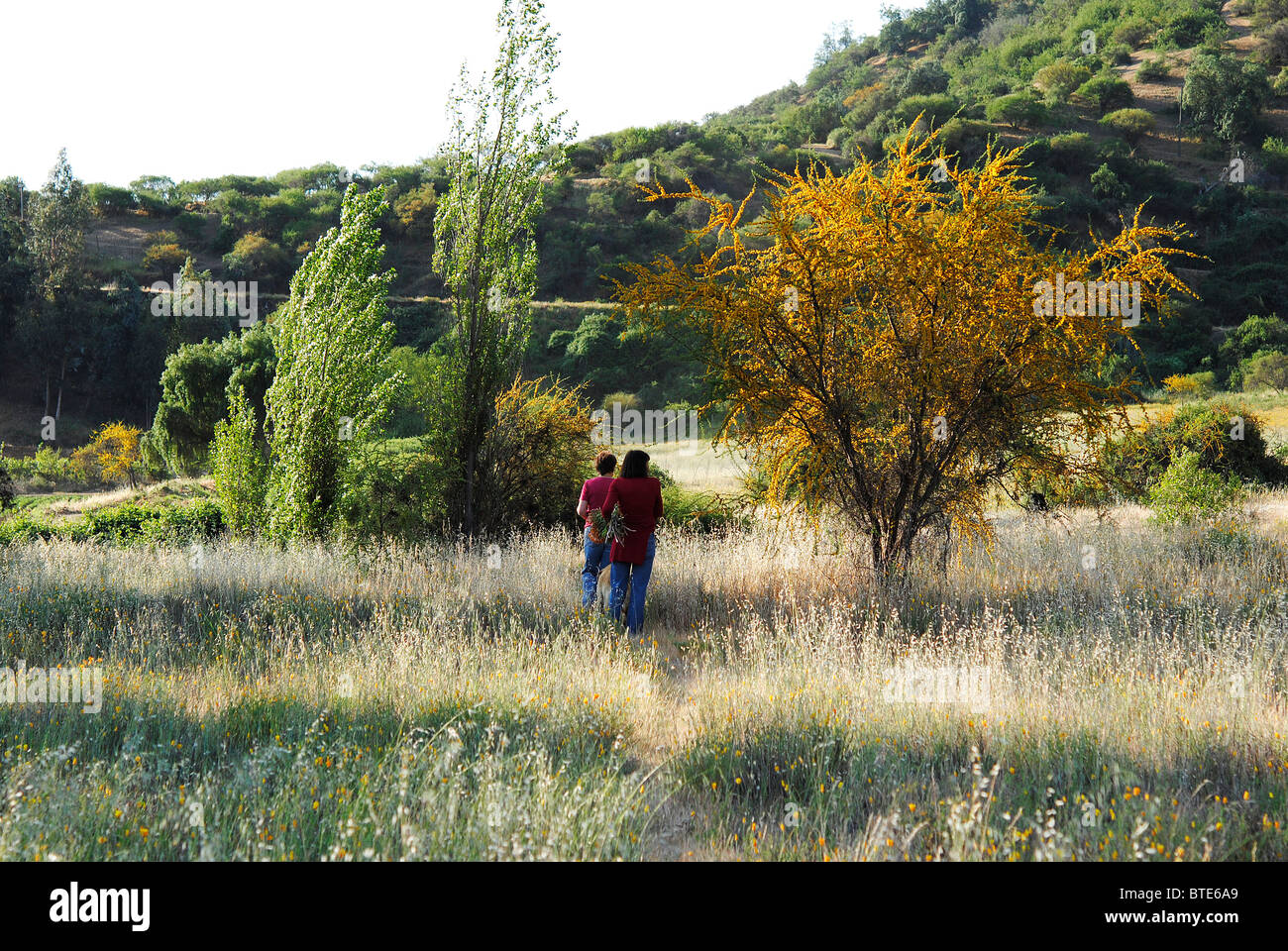 Spot colors hi-res stock photography and images - Alamy