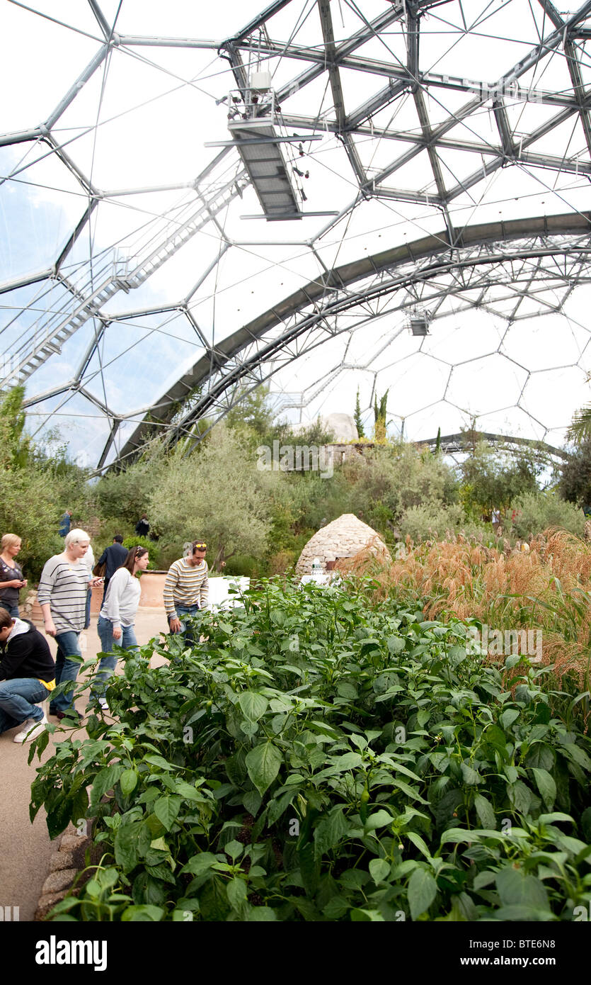 Eden project cornwall interior hi-res stock photography and images - Alamy
