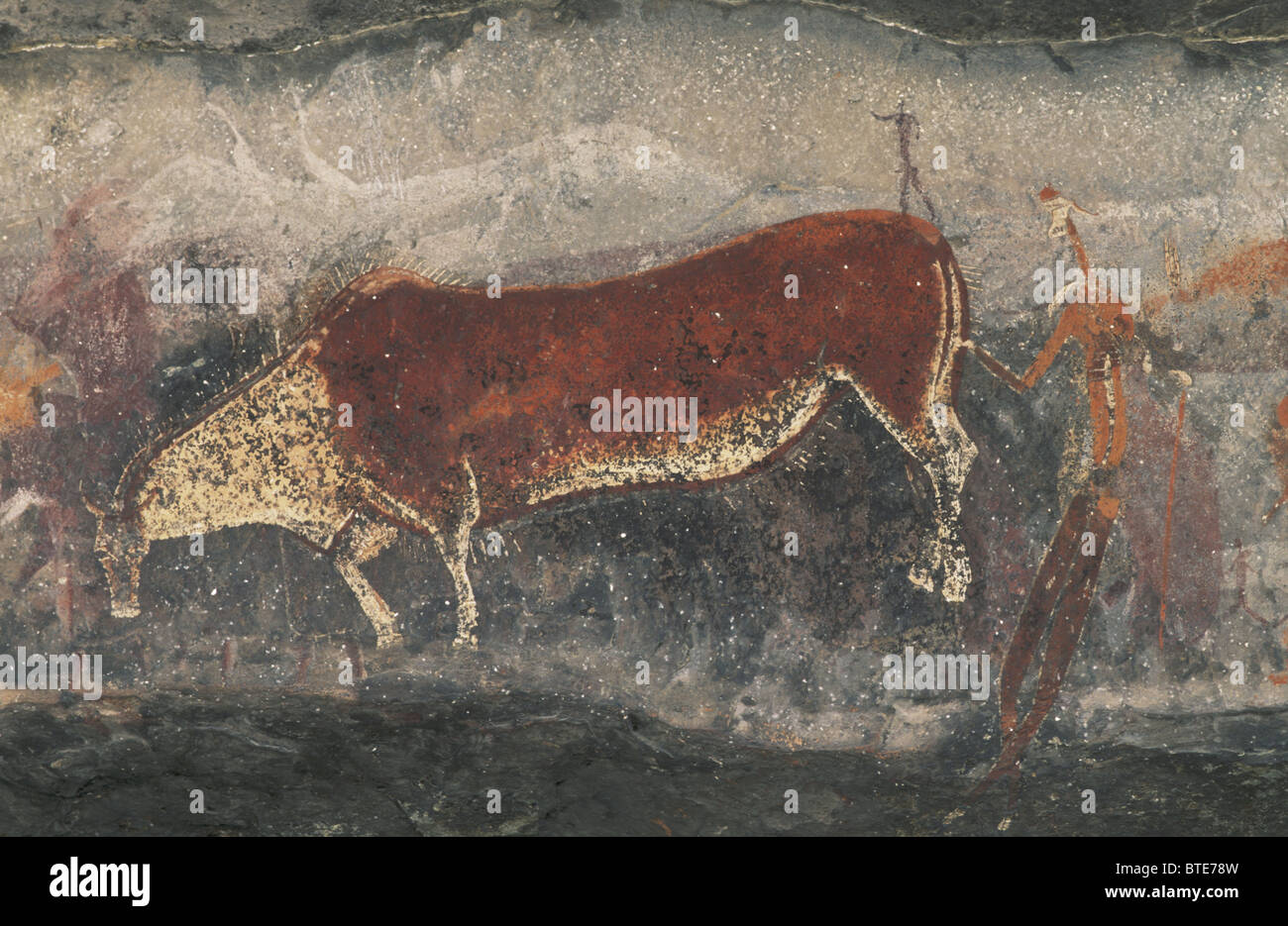 Rock art in a game pass shelter in Kamberg - detail of an Eland with a ...
